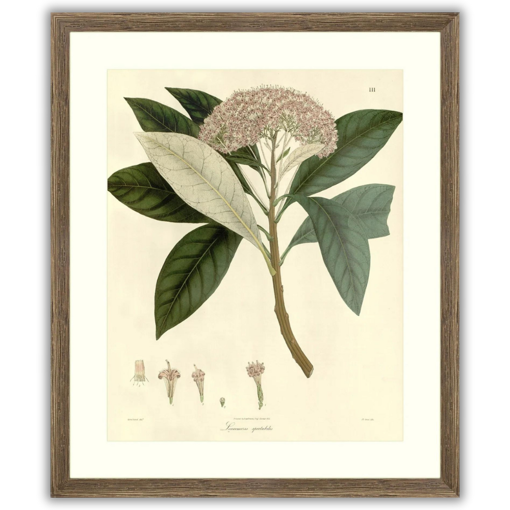 Vintage Wall Art – Homekor